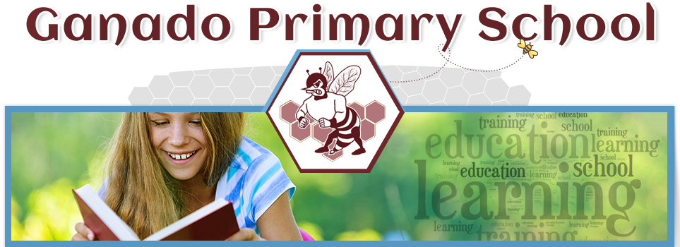 Programs - Ganado Primary School